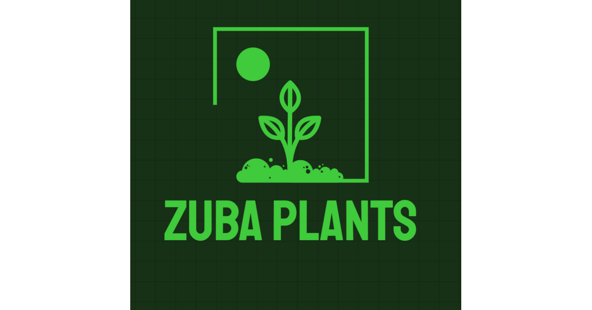 Zuba Plants